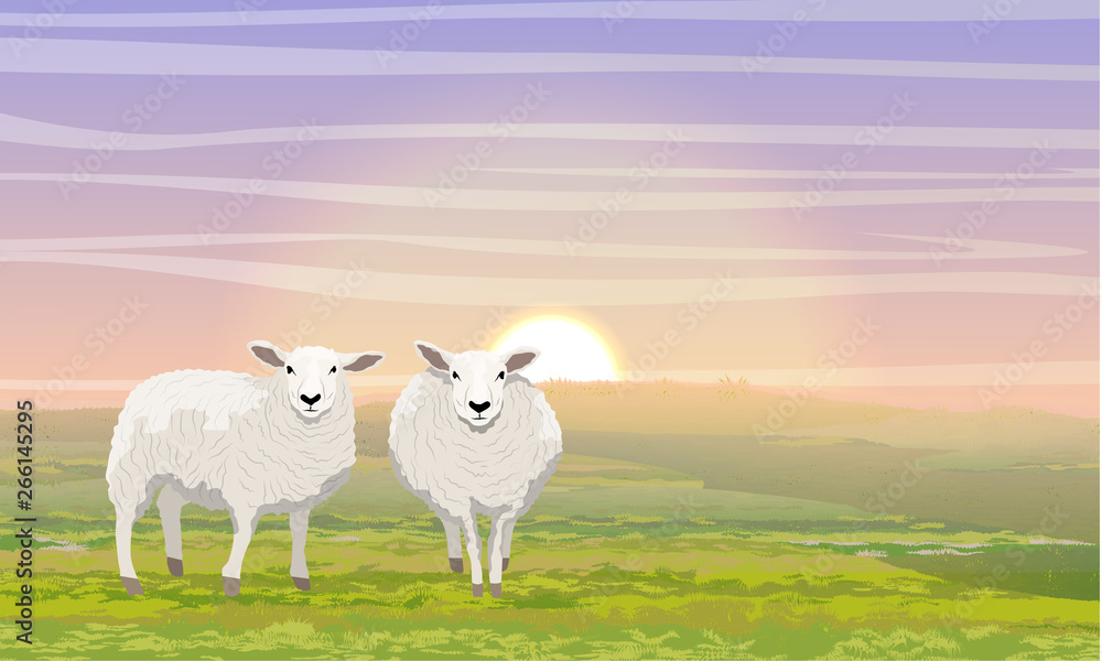 Early Morning Sunrise Farm