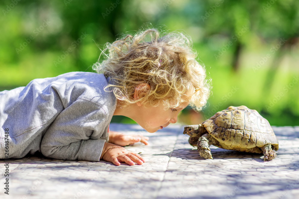 lovely boy with turtle Stock Photo | Adobe Stock