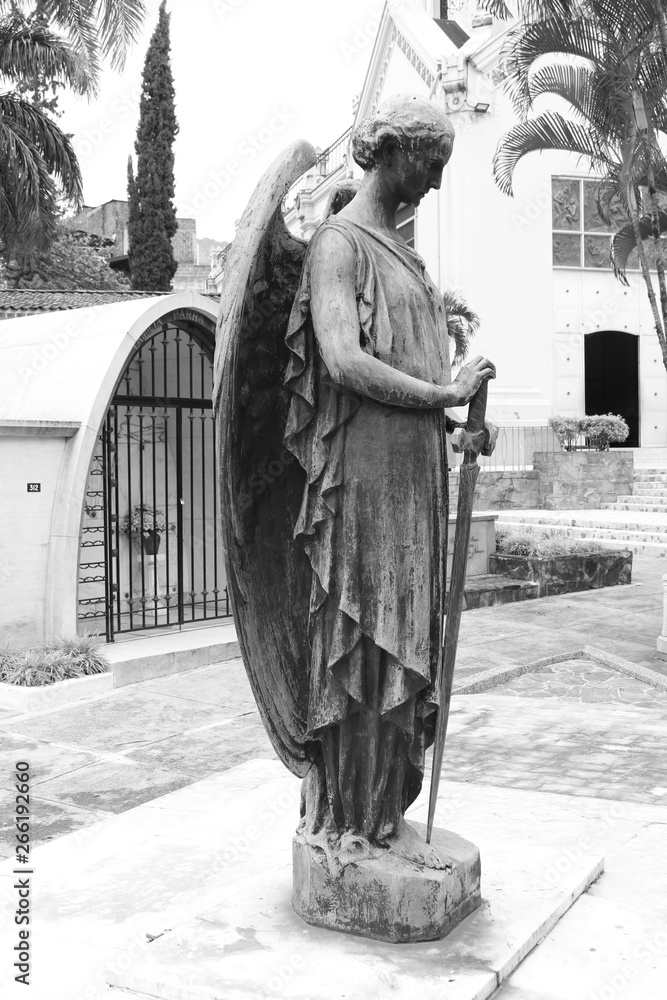 Foto de Estatua de Ángel en el Museo Cementerio San Pedro do Stock ...