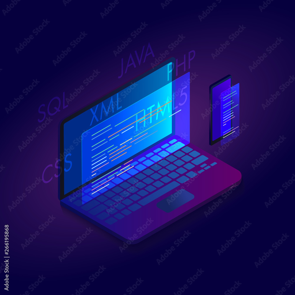 Web Development isometric modern flat design. Software developer ...