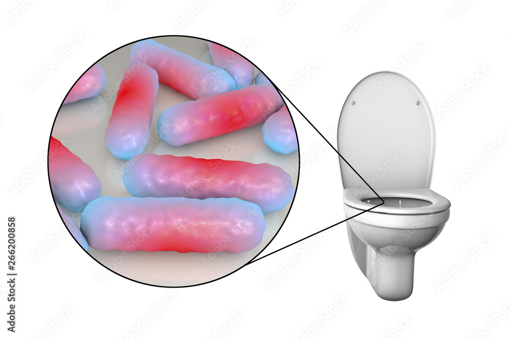 Toilet microbes, conceptual 3D illustration. Transmission of diarrheal ...