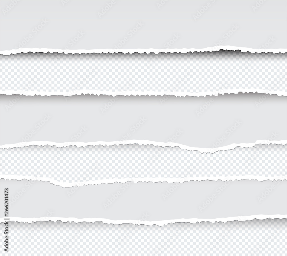 Set of Ripped and Torn Paper Stripes. Texture of Paper with Damaged ...