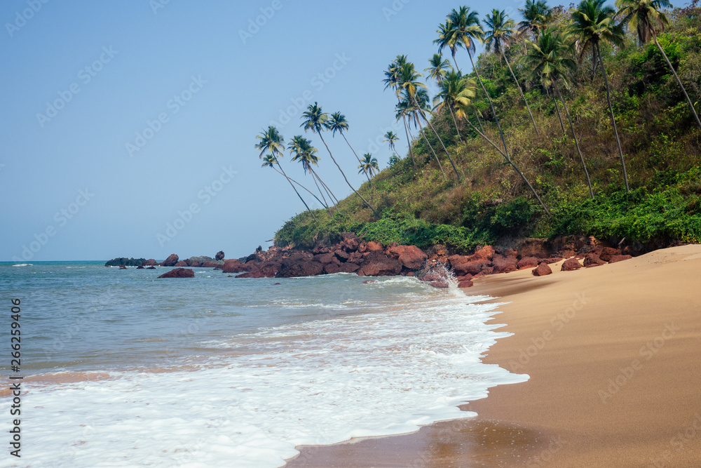 Cola Colva beach in paradise Goa copyspase Stock Photo | Adobe Stock