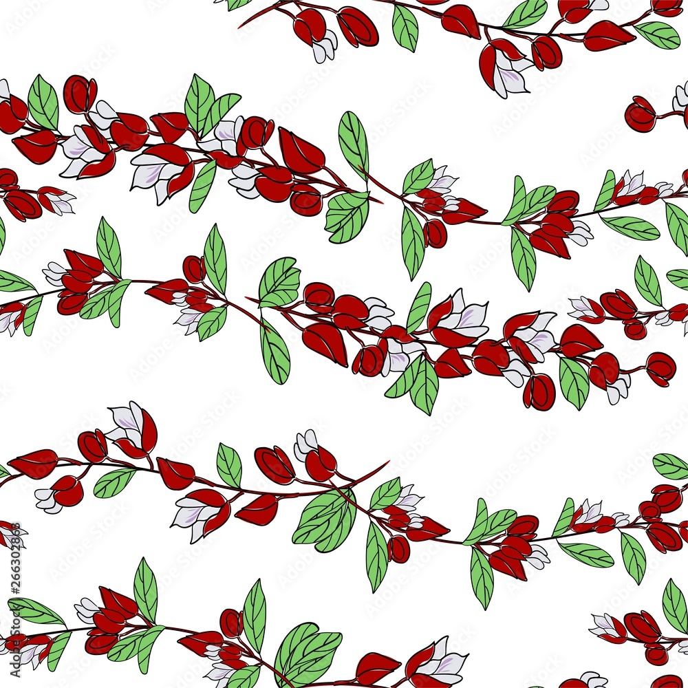 Fiji Blossom, Illustration of Tagimaucia Flower or Medinilla ...