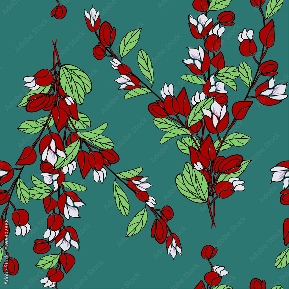 Fiji Blossom, Illustration of Tagimaucia Flower or Medinilla ...