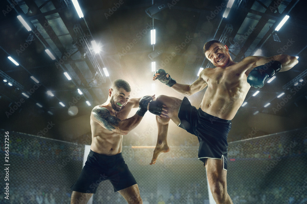 Ready to defend and attack. Two professional fighters posing on the ...