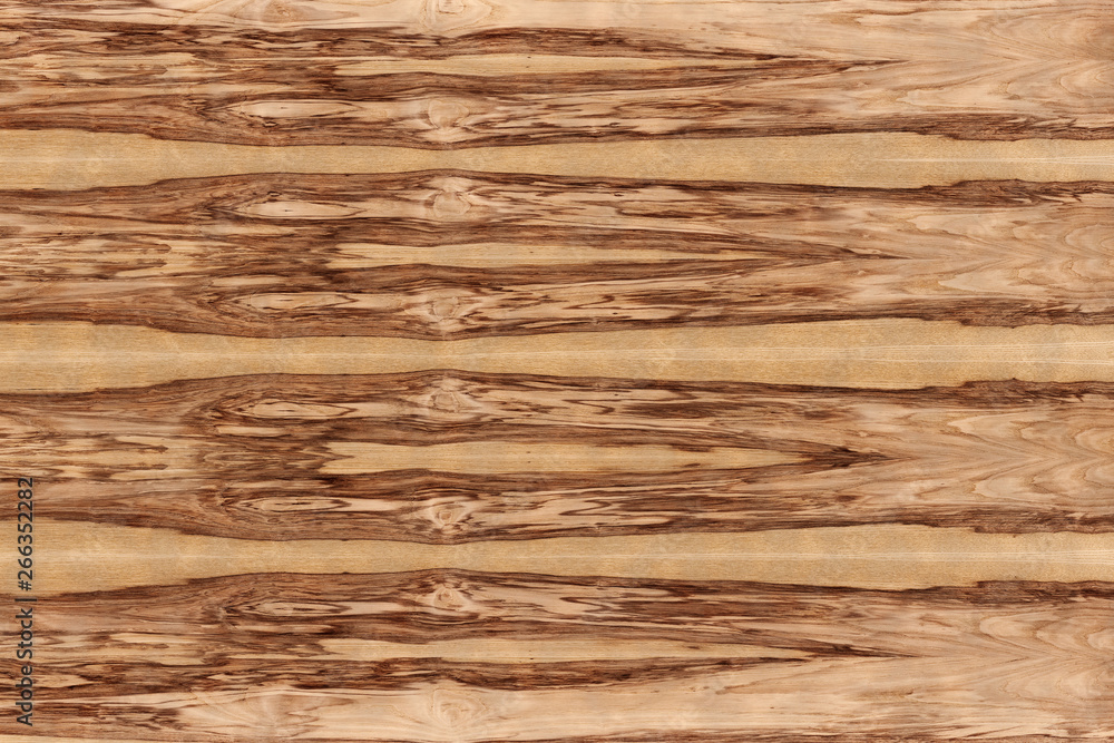 light brown ash-tree timber tree wood structure texture background ...