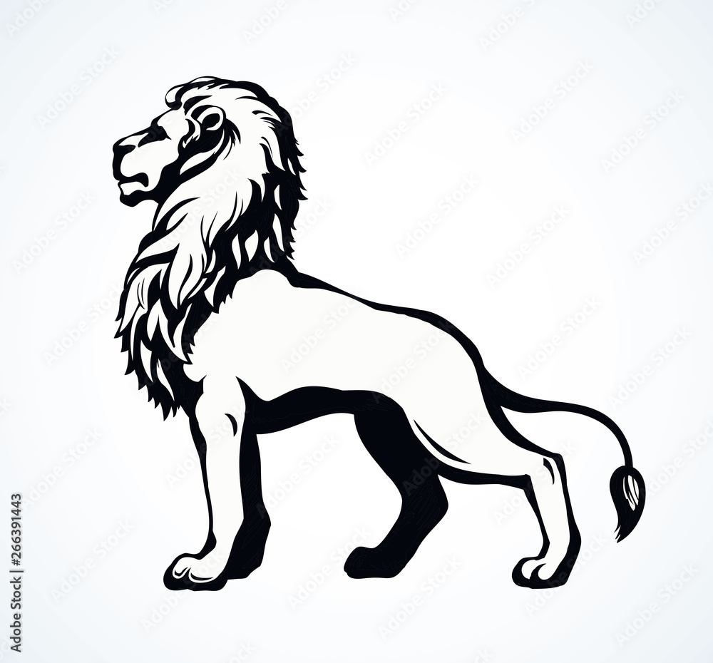 Lion. Vector drawing Stock Vector | Adobe Stock