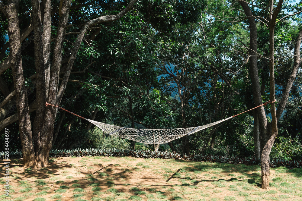 Hammock Stock Photo | Adobe Stock