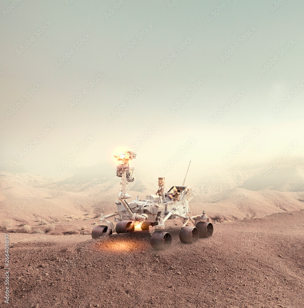 Rover Stock Photo | Adobe Stock