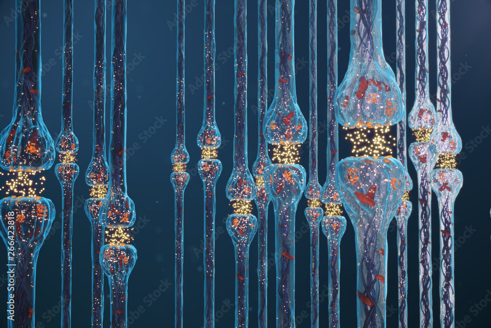 Synaptic transmission, nervous system receptors. Concept consciousness ...