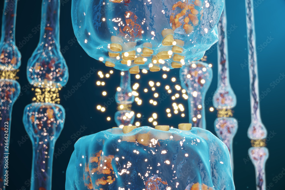 Synaptic transmission, human nervous system. Concept consciousness ...