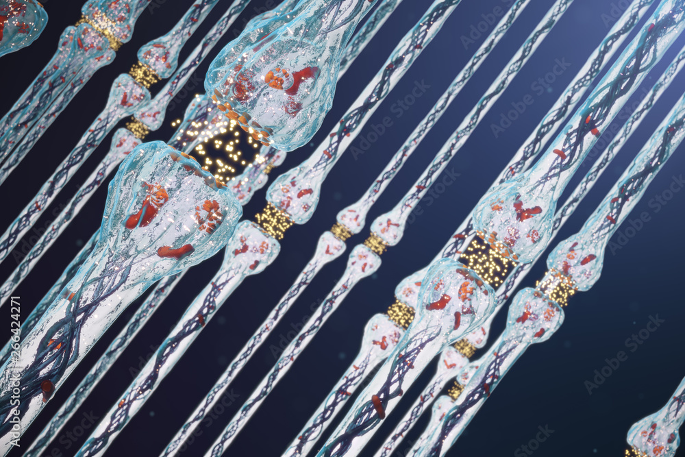 Synaptic transmission, nervous system receptors. Concept consciousness ...