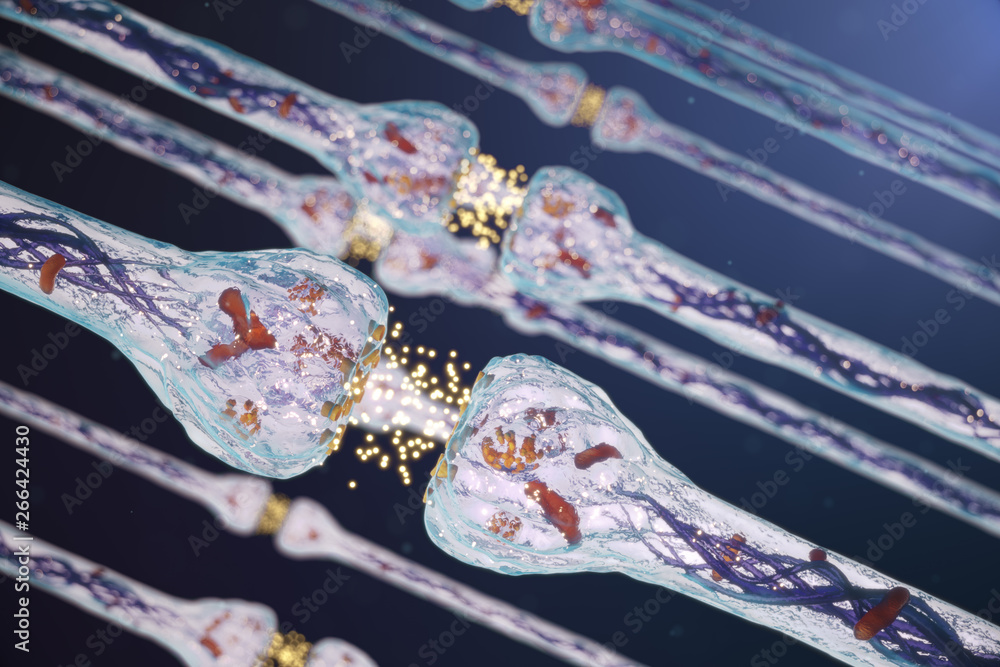 Synaptic transmission, human nervous system. Concept consciousness ...