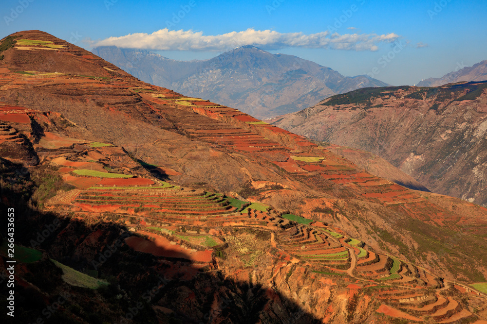 Dongchuan Red Earth Multi-Colored Terraces - Red Soil, Green Grass ...