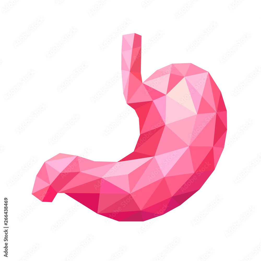 polygonal art of human stomach design. faceted low-poly geometry effect ...