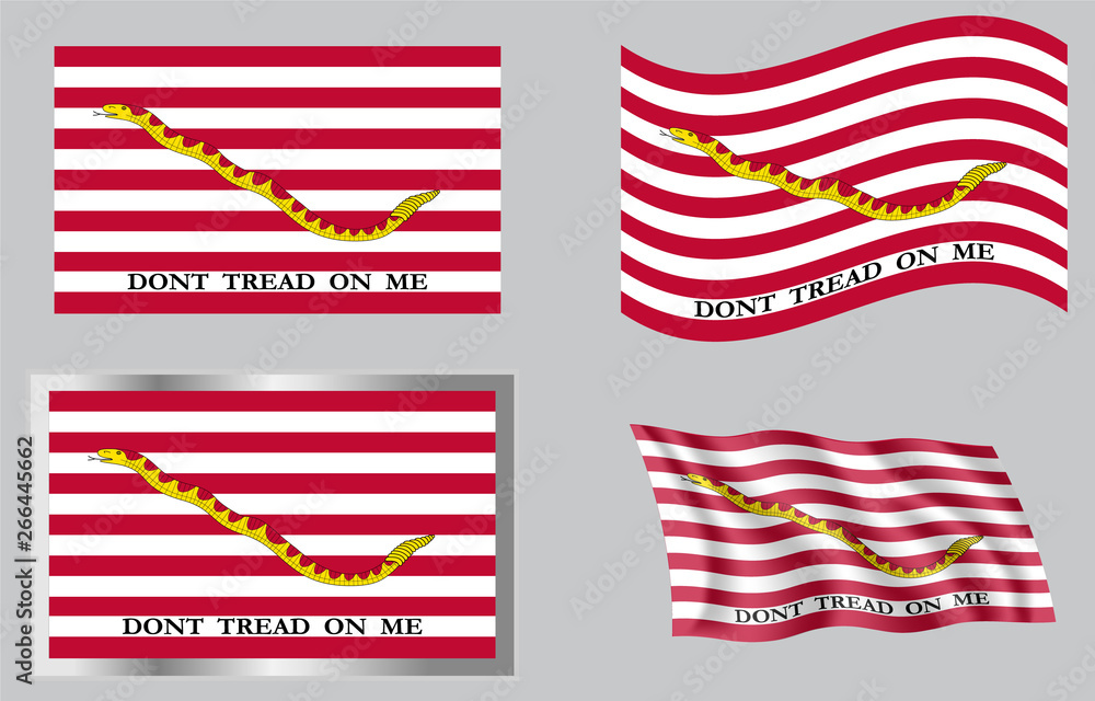 Naval Jack Rattlesnake Flag of 1775 Stock Vector | Adobe Stock