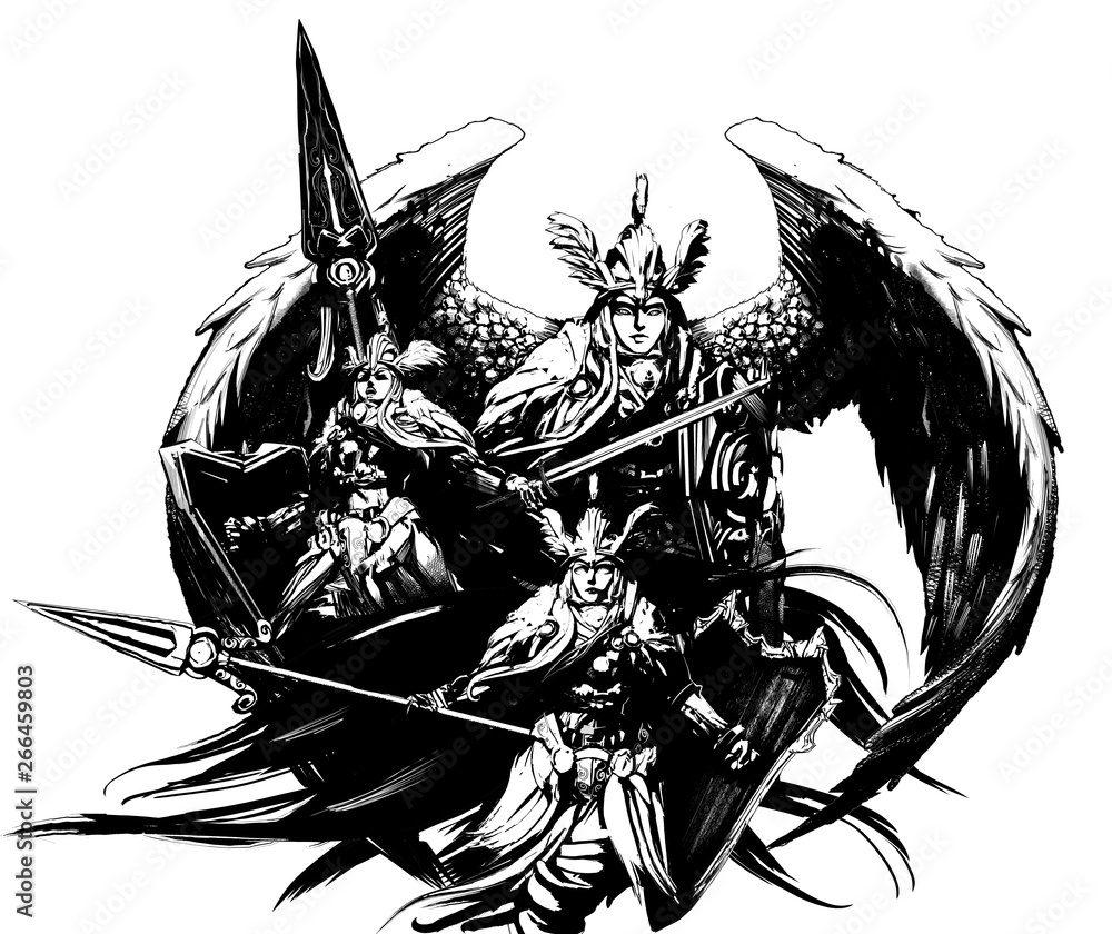 Three Valkyries with spears and shields in a dynamic composition Stock ...