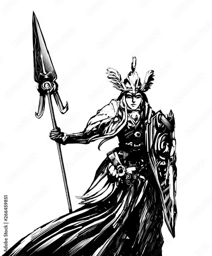 Canonic valkyrie in armor with a spear and shield, and in a helmet with ...