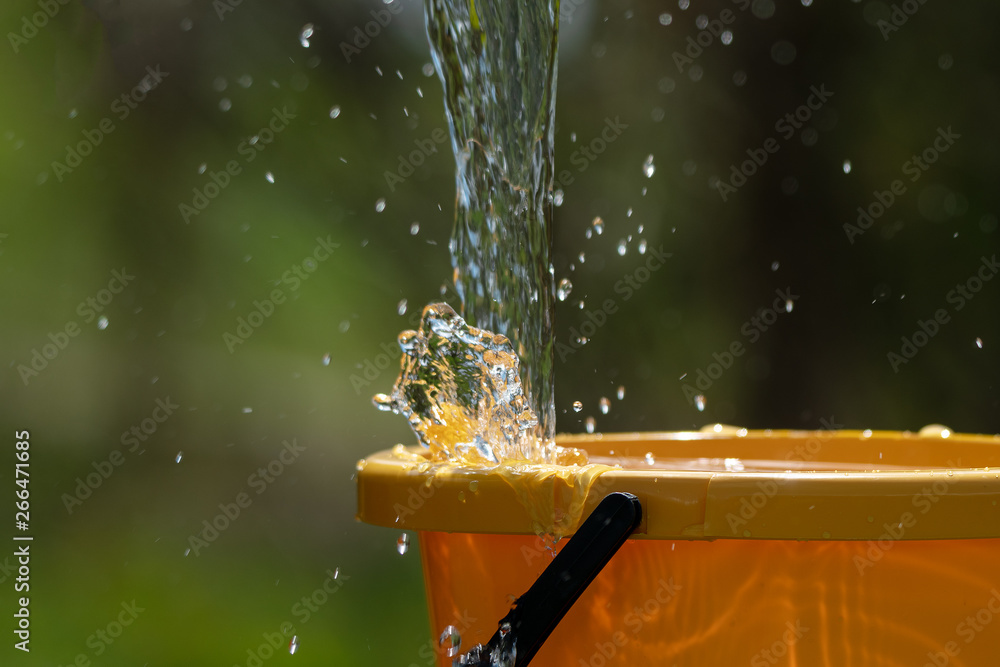 Pouring water and plastic bucket. Stock Photo | Adobe Stock