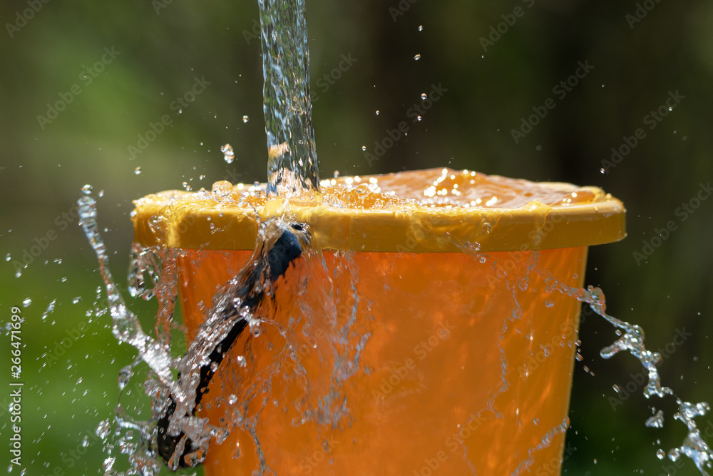 Pouring water and plastic bucket. Stock Photo | Adobe Stock