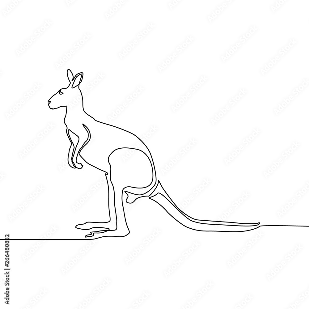 Kangaroo continuous line drawing. Vector illustration. Stock Vector ...
