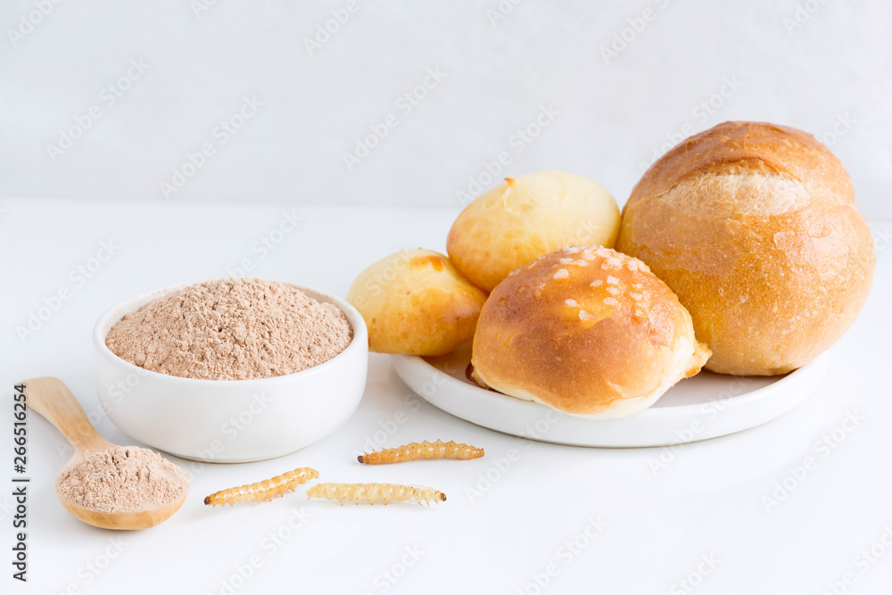 Silkworm Pupae powder Insect for eating as food in bowl and spoon ...