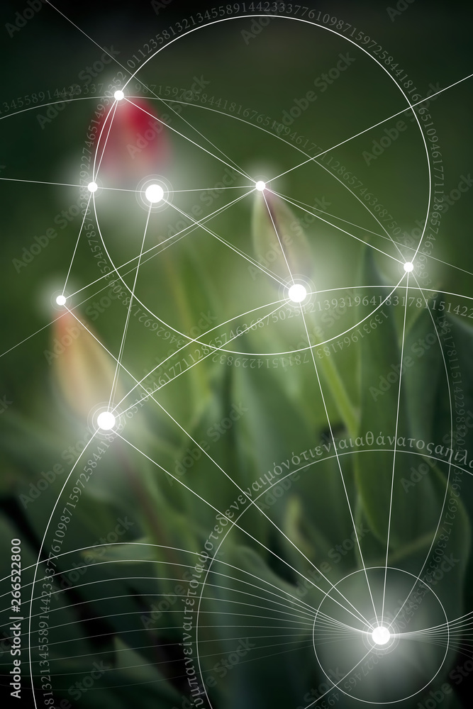 Sacred geometry art with golden ratio numbers, interlocking circles ...