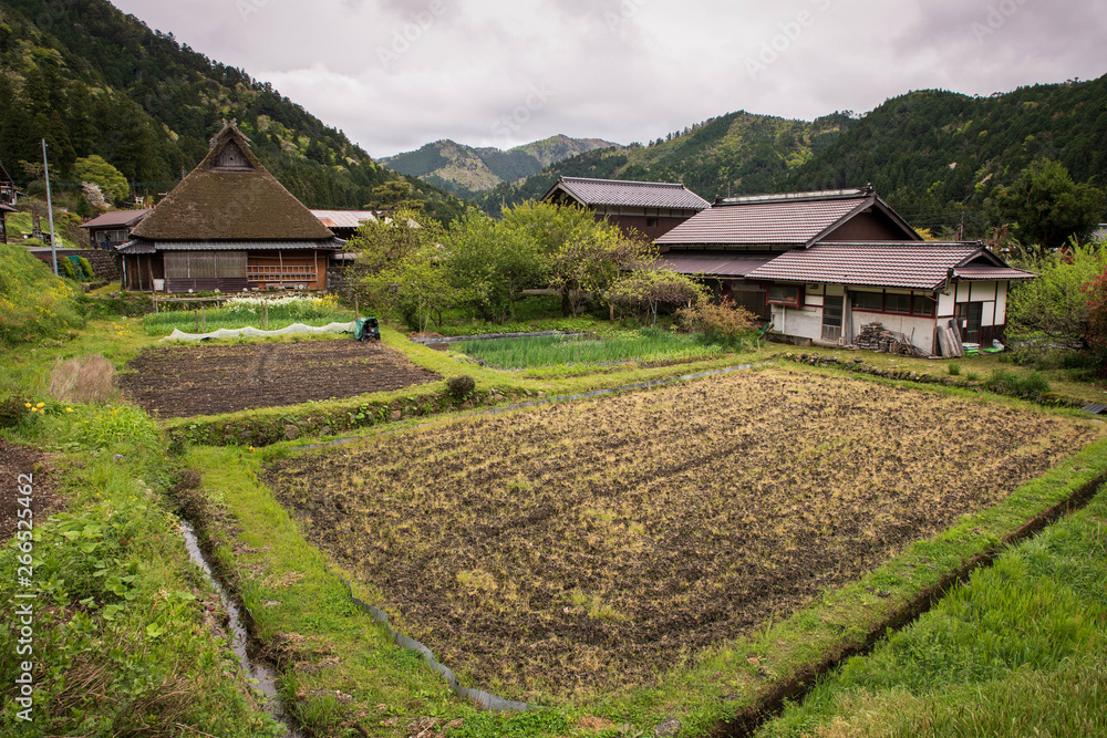 Traditional houses border small farm in mountains of Kyoto, Japan Stock ...