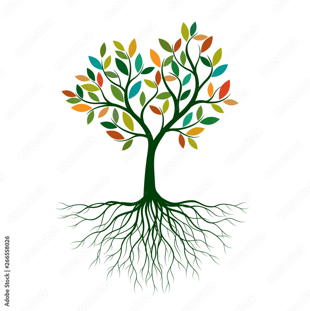 Color Tree of Life with Roots. Vector Illustration. Stock Vector ...