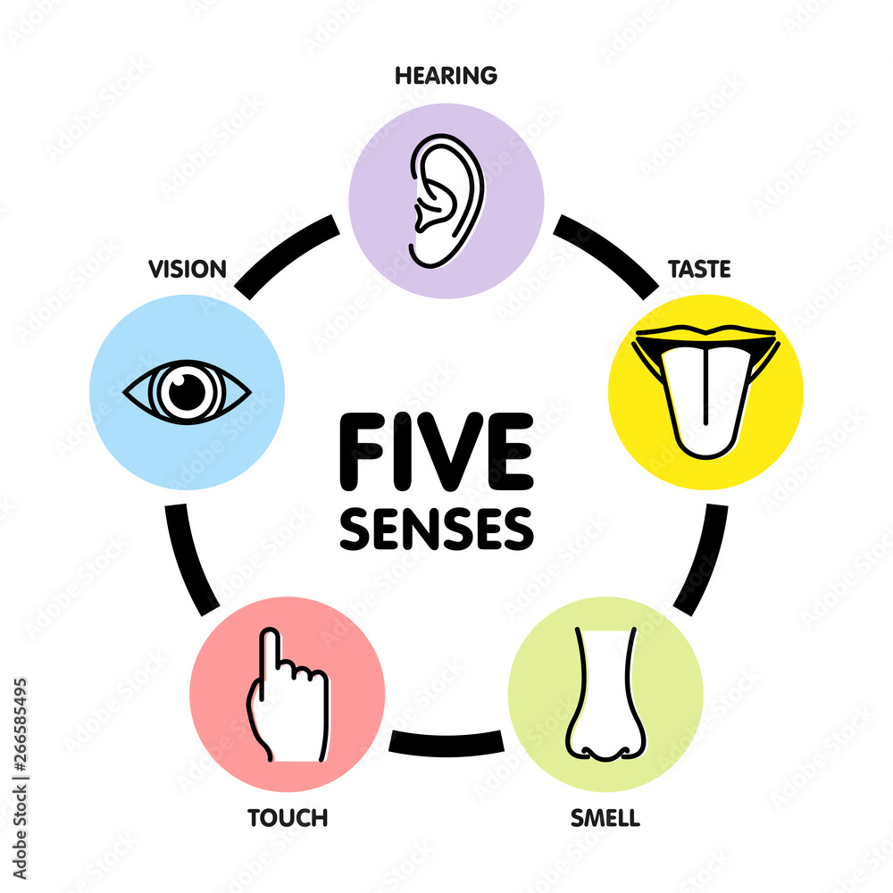 Five senses line icons. Human ear and eye symbols, nose and mouth ...