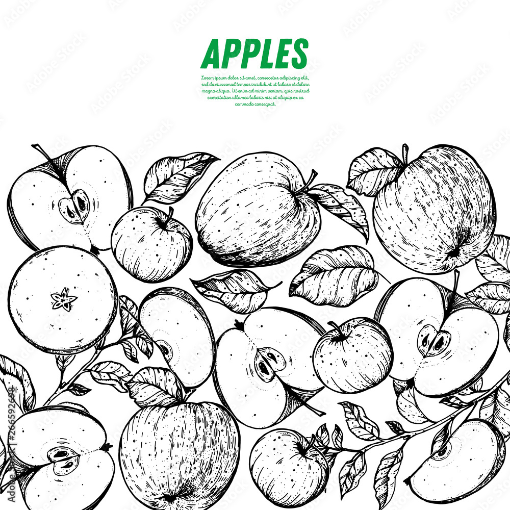 Apple hand drawn illustration. Apple sketch vector illustration. Apple ...