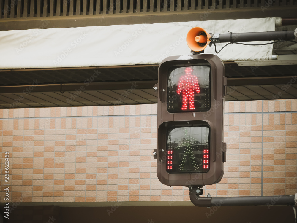 Pedestrian Crosswalk Light