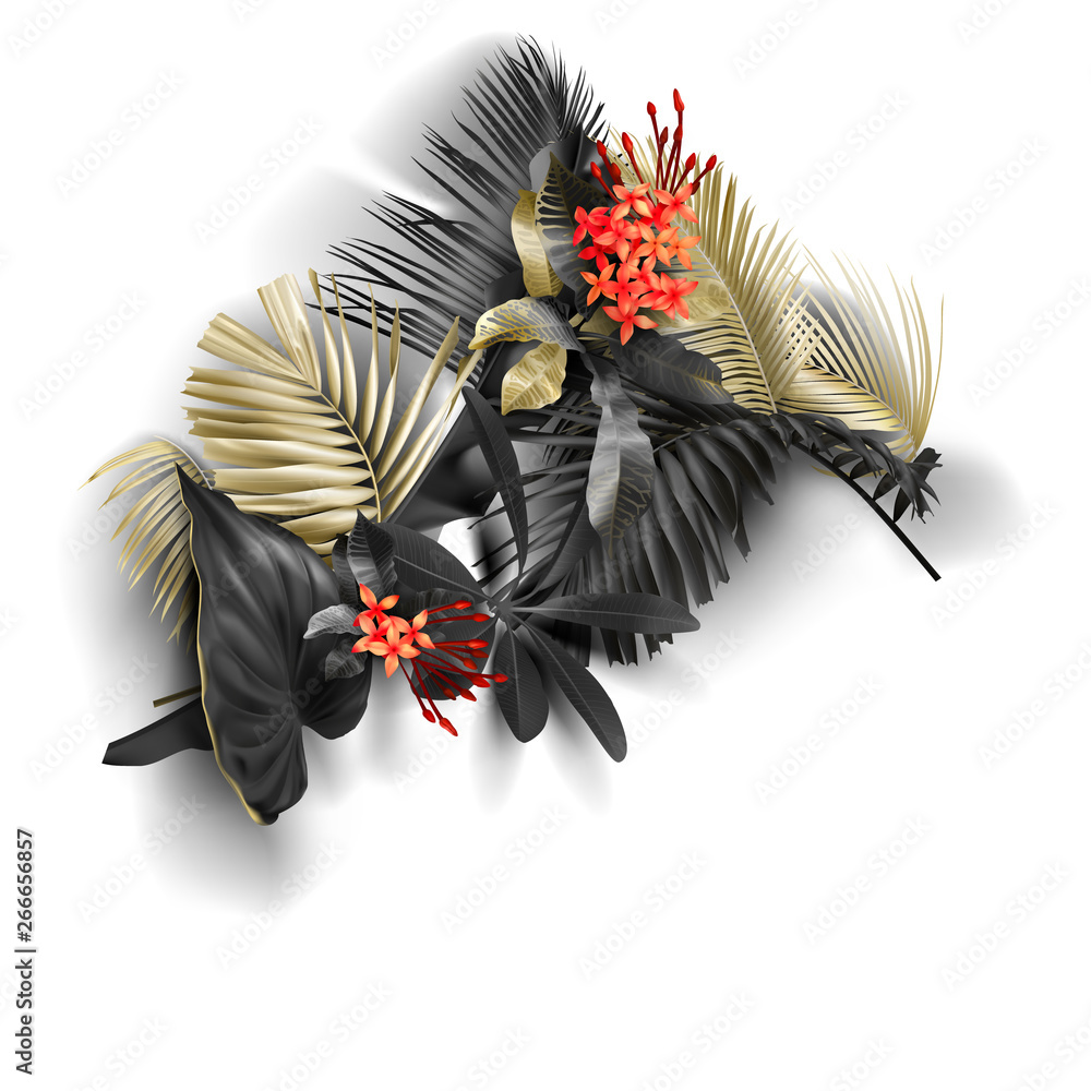 Tropical black and gold leaves on white background vector poster ...