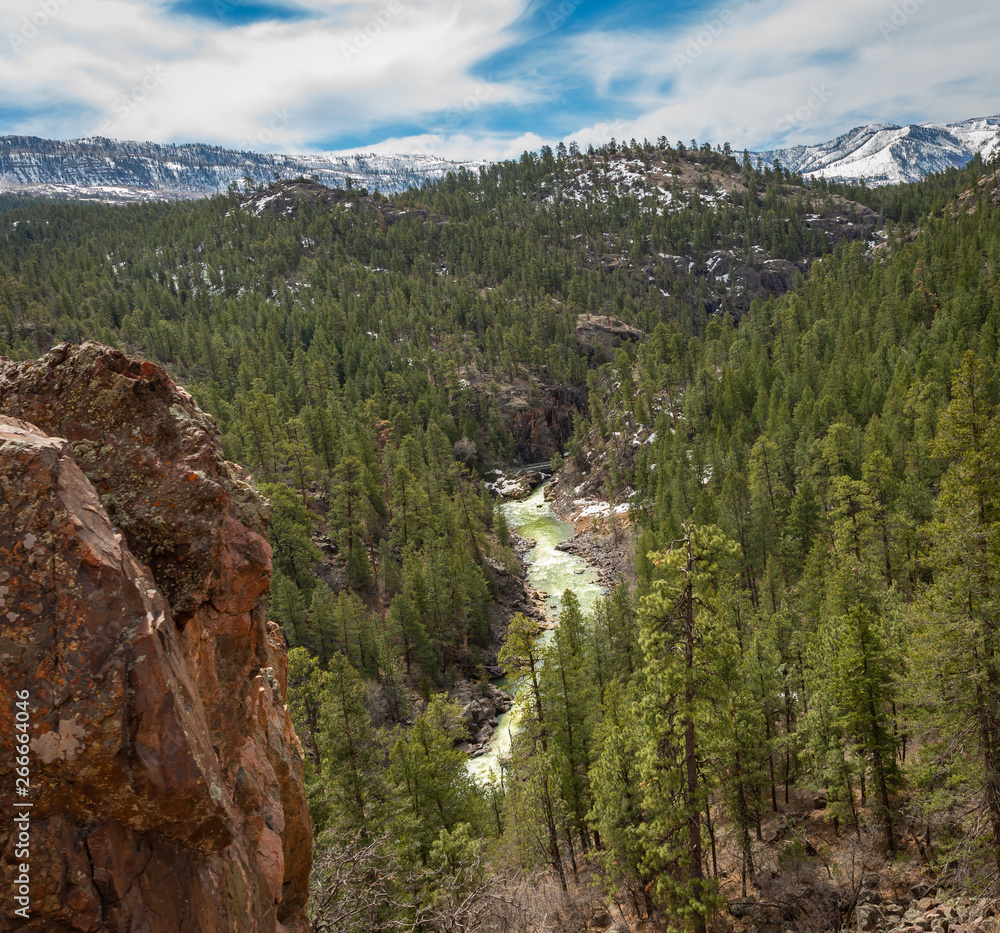 Poster The Animas River flows through the San Juan National Forest in ...