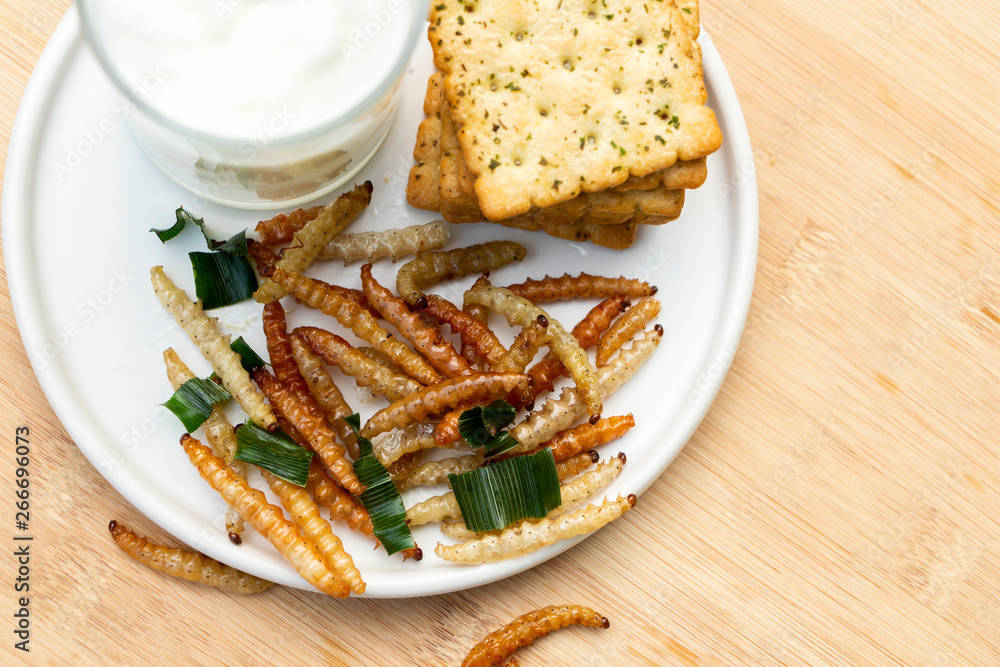 Bamboo edible worm insects crispy or Bamboo Caterpillar with cookies in ...