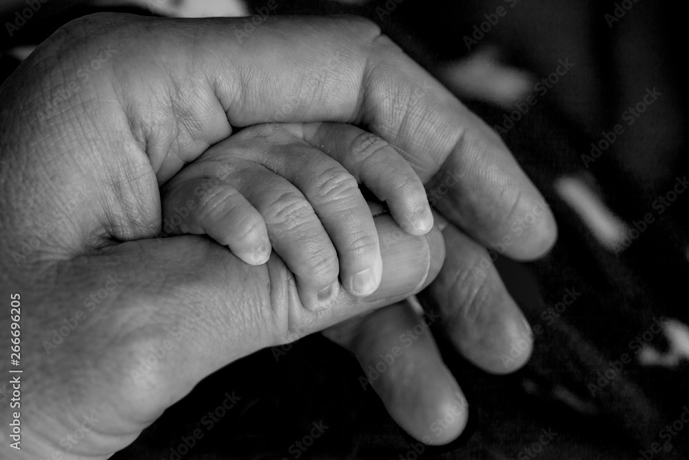 Baby Hands Black And White