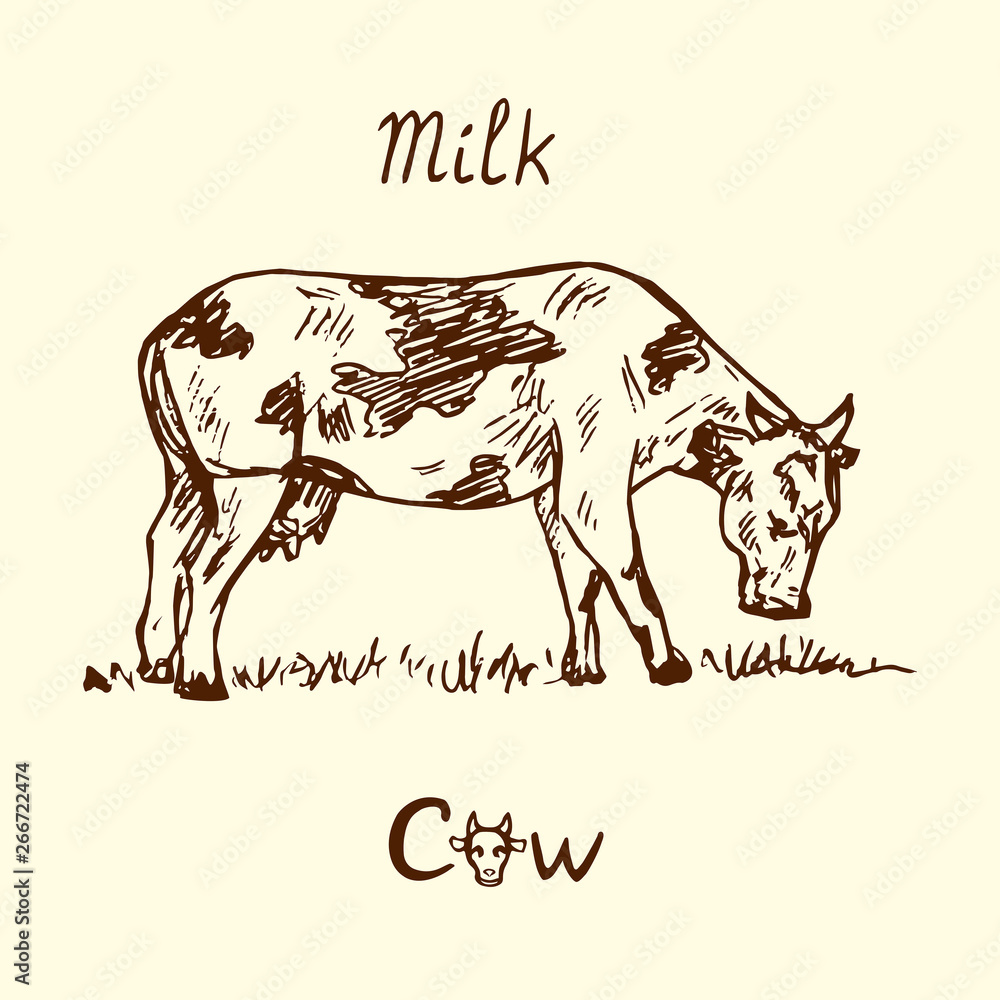 Cow standing side view, hand drawn doodle, sketch in pop art style ...