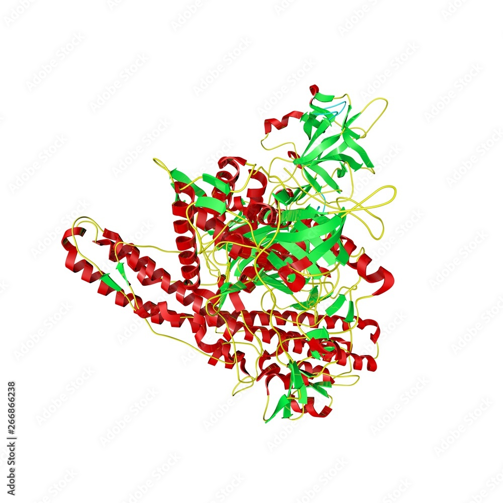Crystal structure of the tetanus neurotoxin produced by clostridium ...