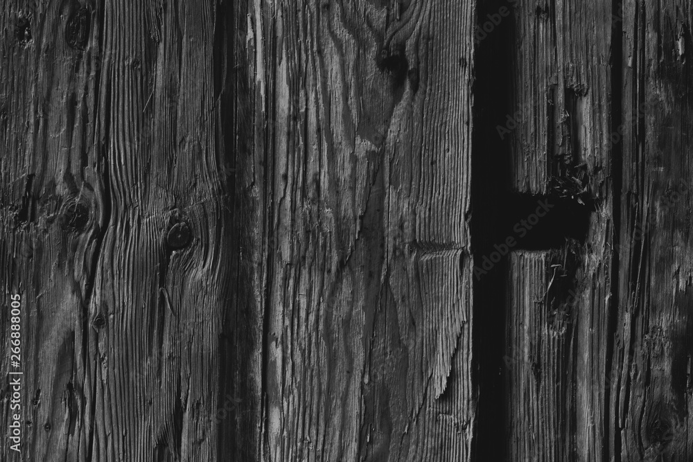 grey tree timber wood structure texture background backdrop Stock Photo ...