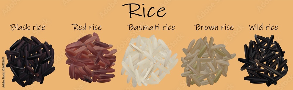 Rice set. Black, red, basmati, brown, wild. Vectric 3d illustration ...