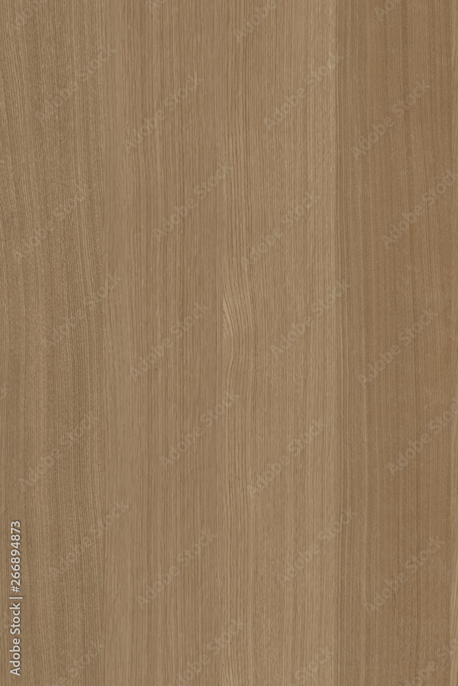 oak tree timber wood wallpaper backdrop structure texture background ...
