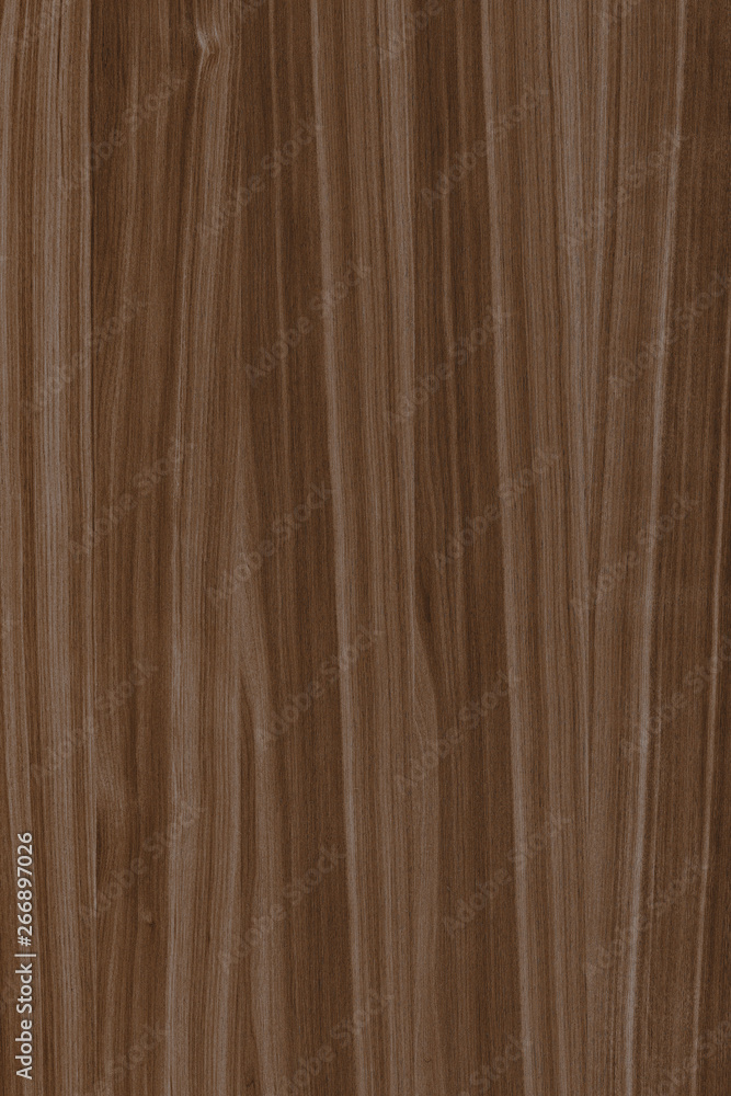 jacaranda timber tree wood grain structure texture background backdrop ...