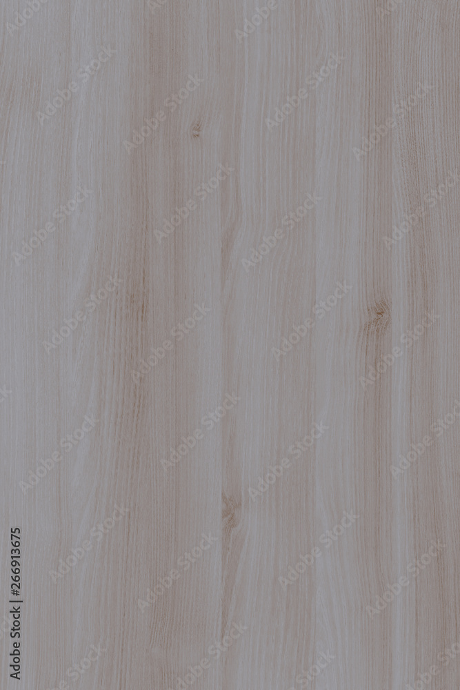 wood timber tree wooden backdrop structure texture background wallpaper ...