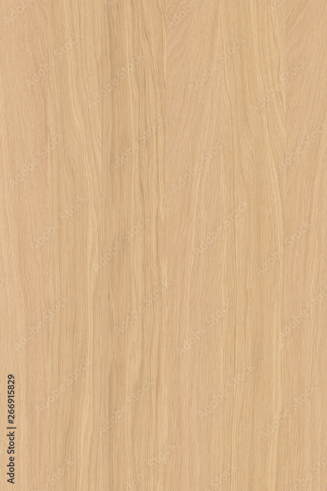 wood timber tree wooden backdrop structure texture background wallpaper ...