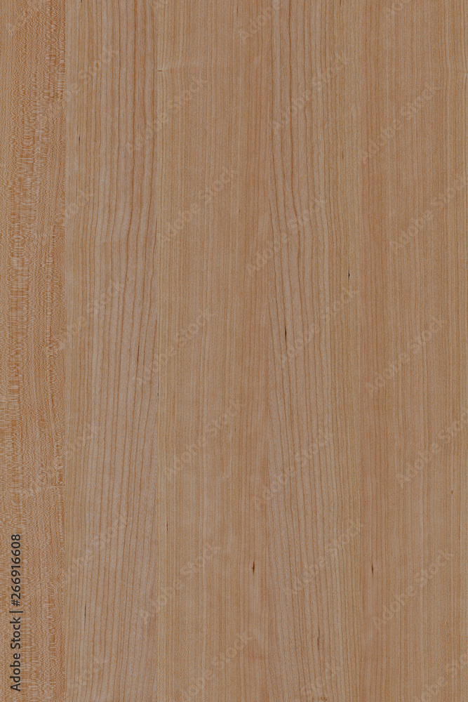 wood timber tree wooden backdrop structure texture background wallpaper ...