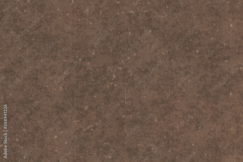 wood timber tree wooden backdrop structure texture background wallpaper ...