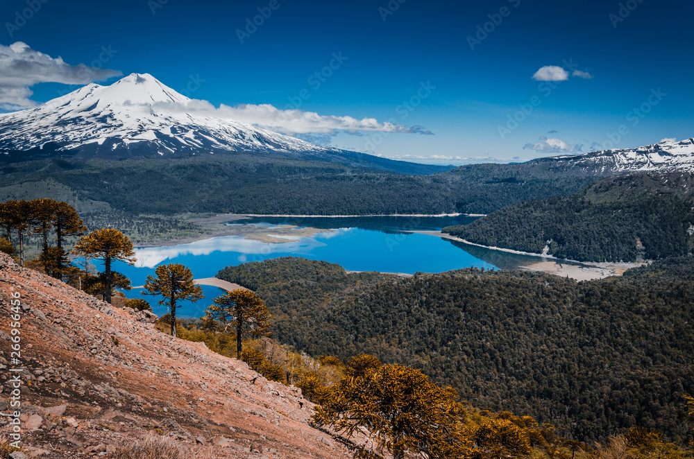 Parque Conguillio, Temuco, Chile Stock Photo | Adobe Stock