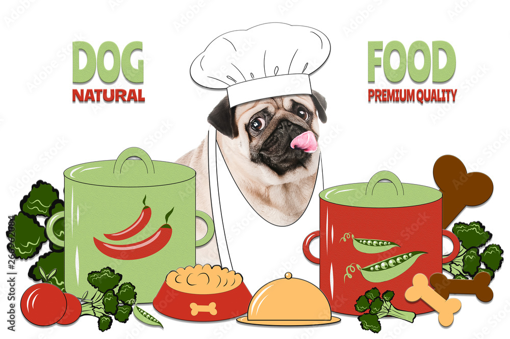 Dog premium and natural food concept, healthy pet food. Photo and ...