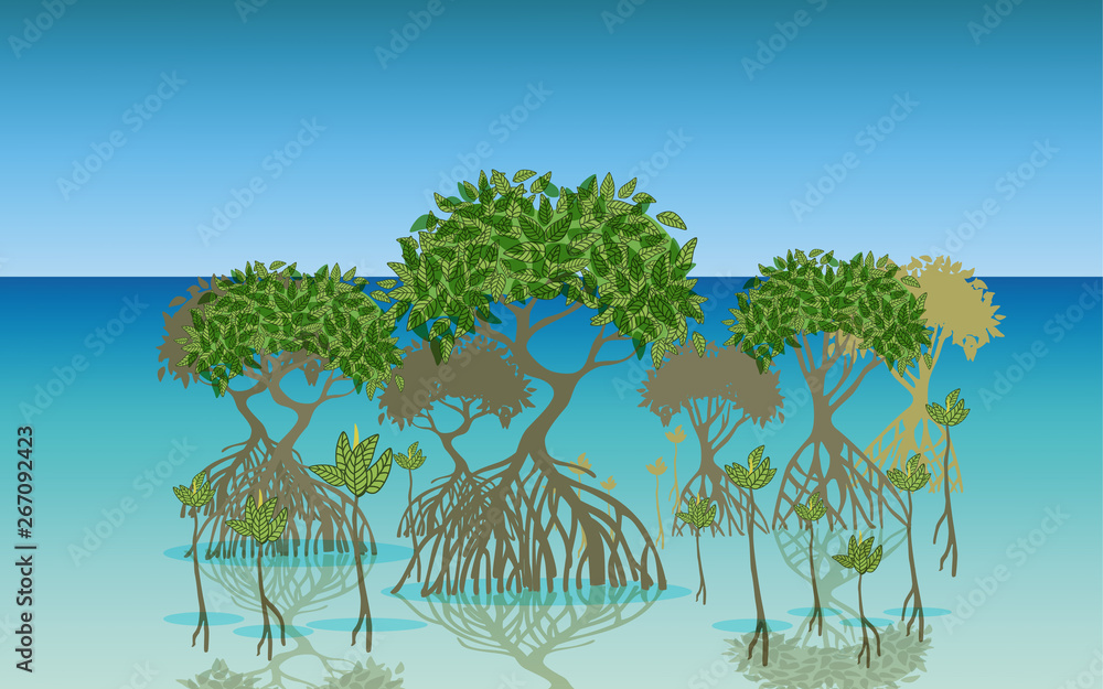 landscape of mangrove forest at the beach in daytime Stock Vector ...